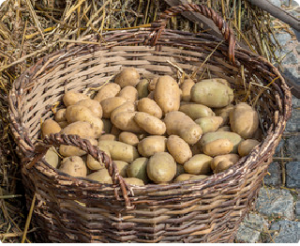 Agrobiodiversidad - Biodiversidad