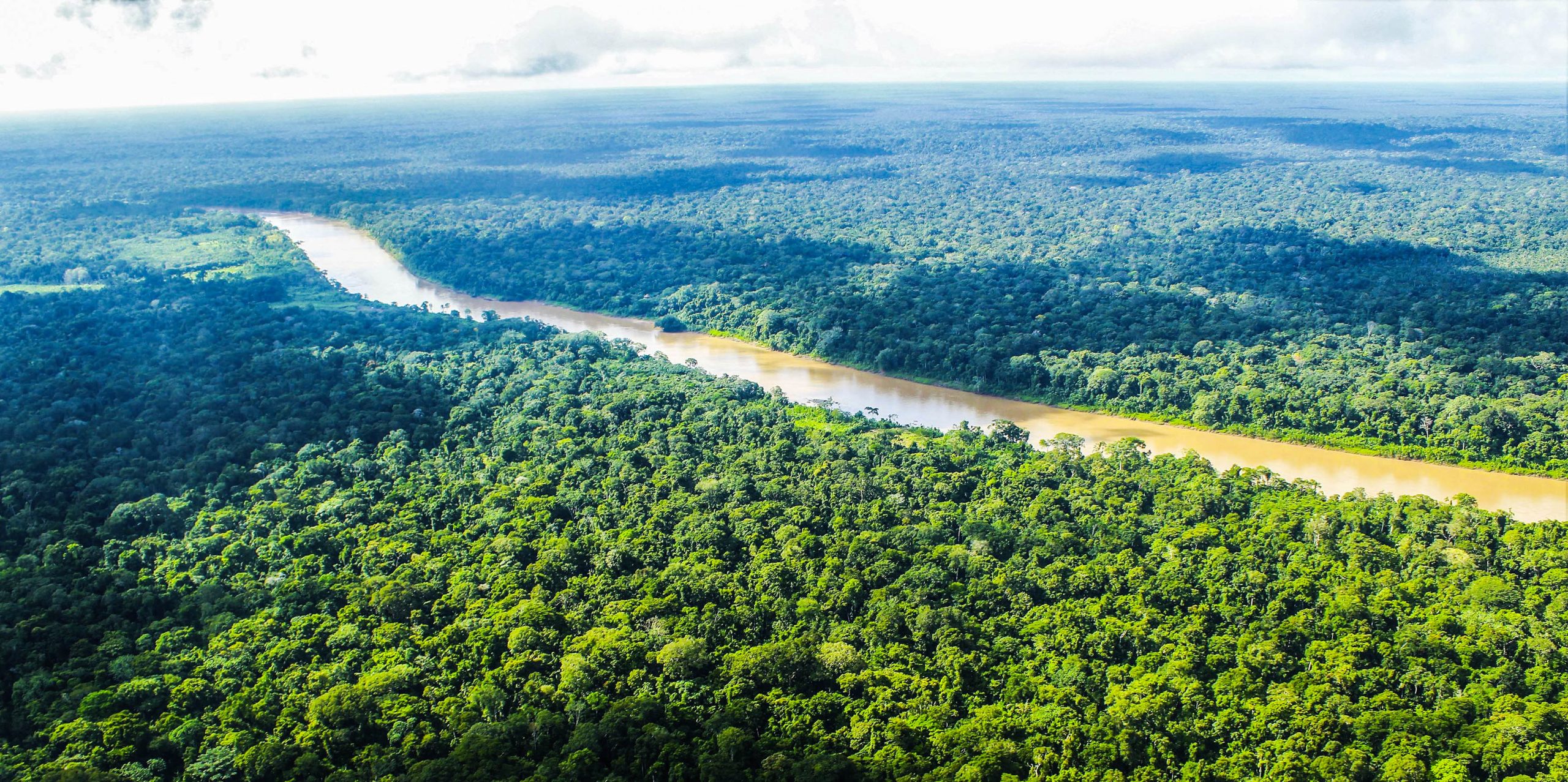 Humedal costero – Biodiversidad